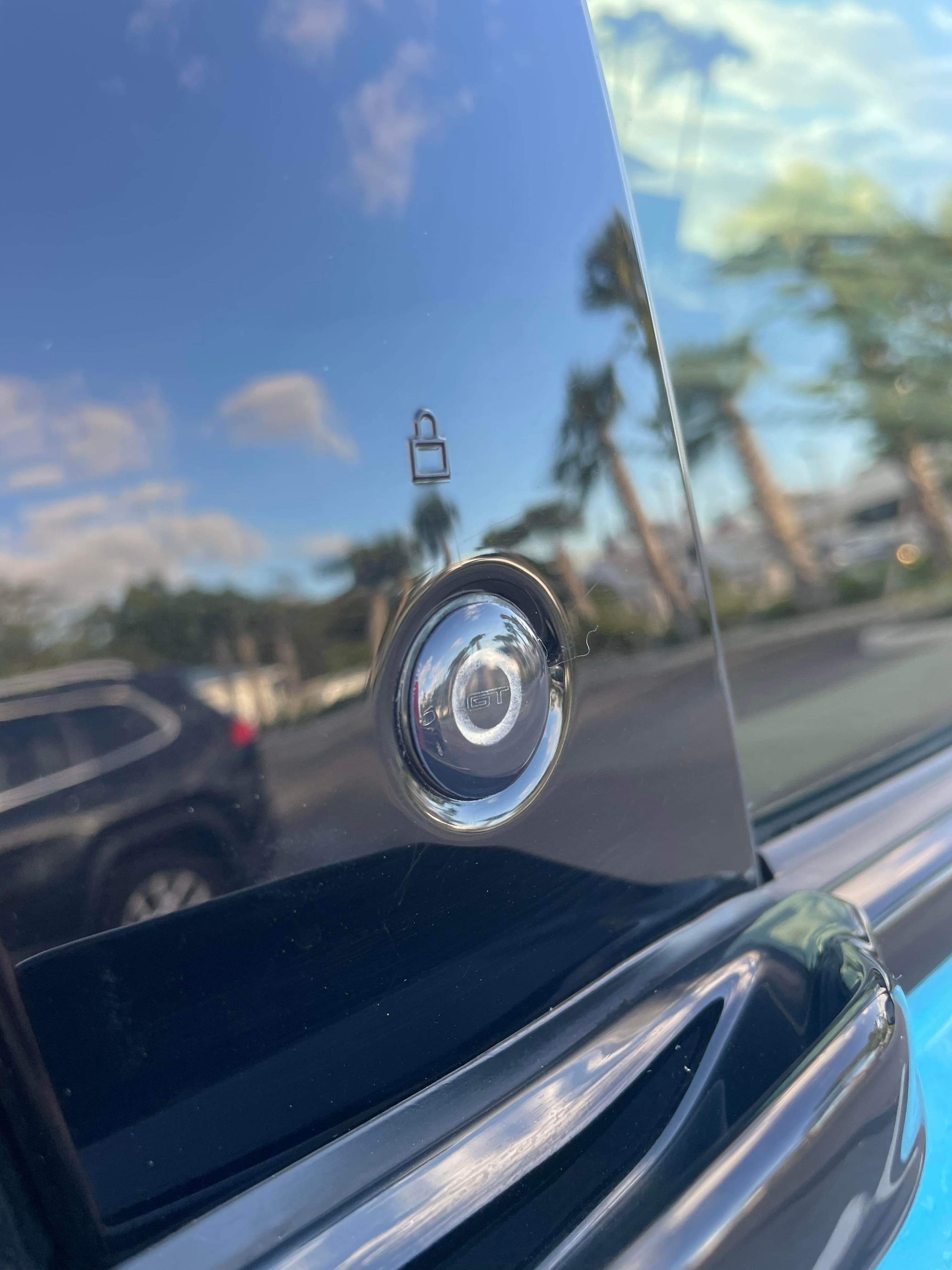 The Ring designed for Mustang Mach E Door – EV-Vida